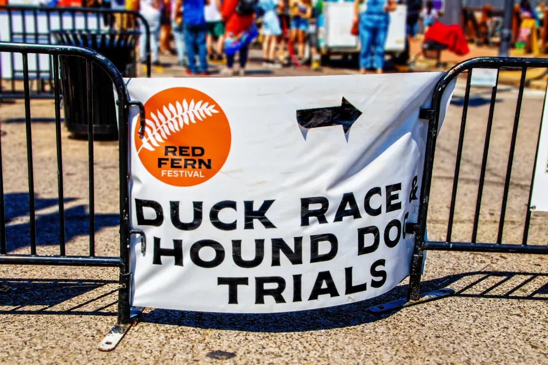 Temporary Signs in Irving, TX | Fast, Durable & Affordable